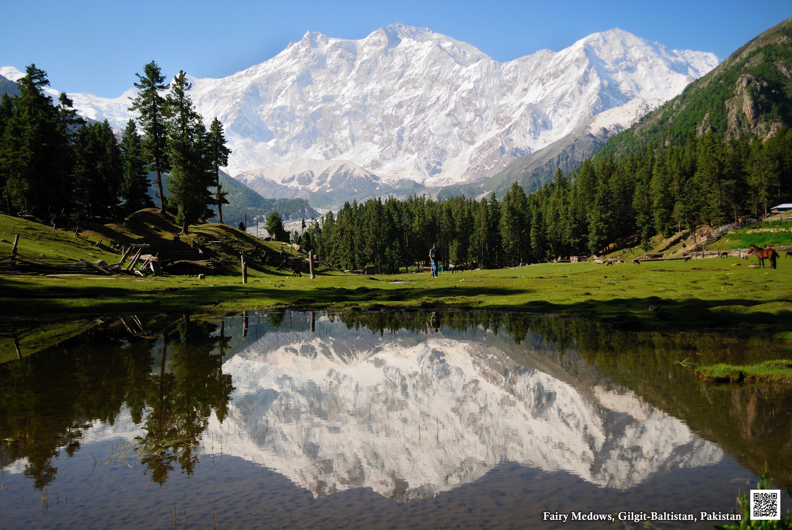 Fairy Meadows | NUST