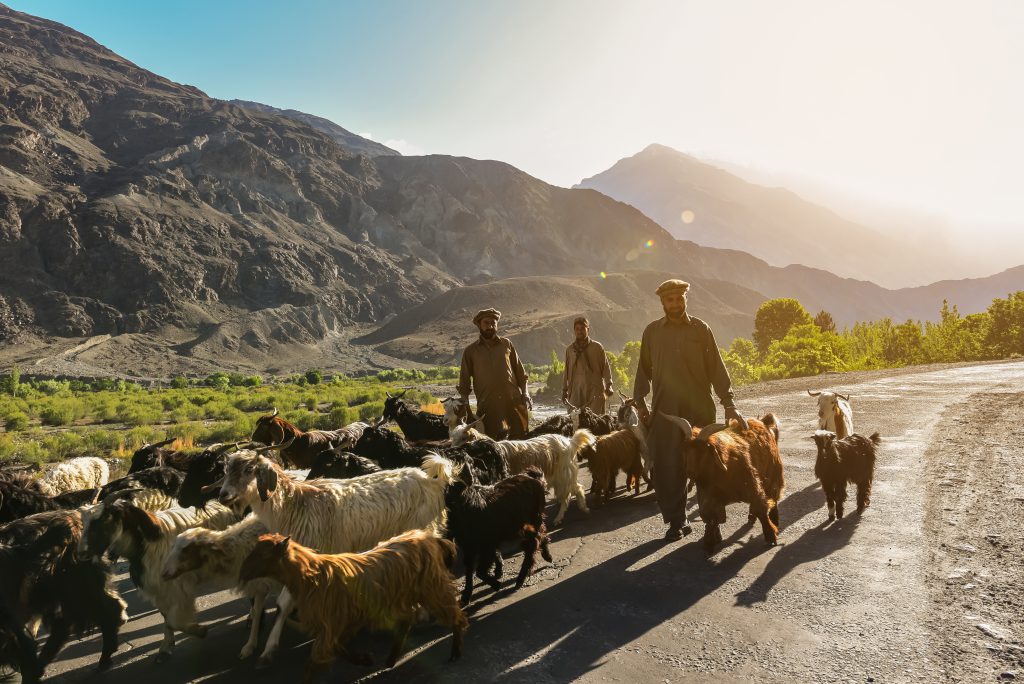 People of Pakistan | NUST